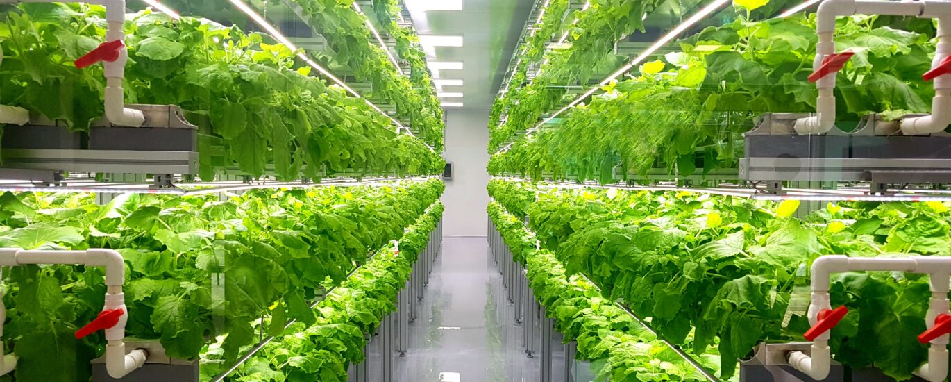 Revolutionizing Agriculture: The Surging Growth of Indoor Farming ...