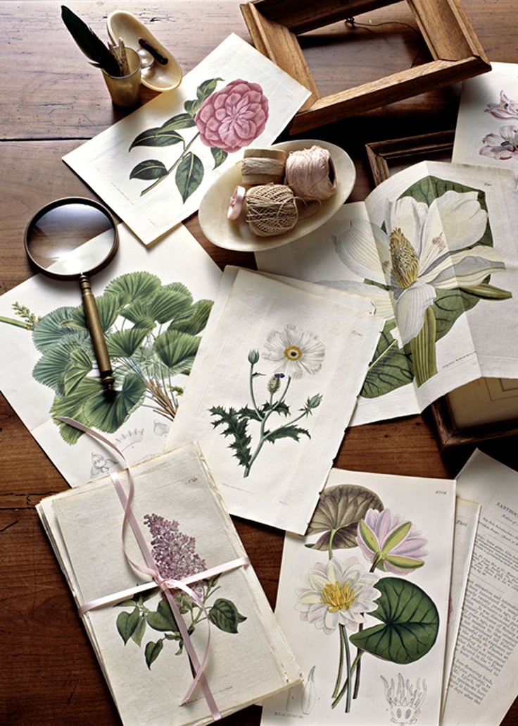 Botanical Packaging Market