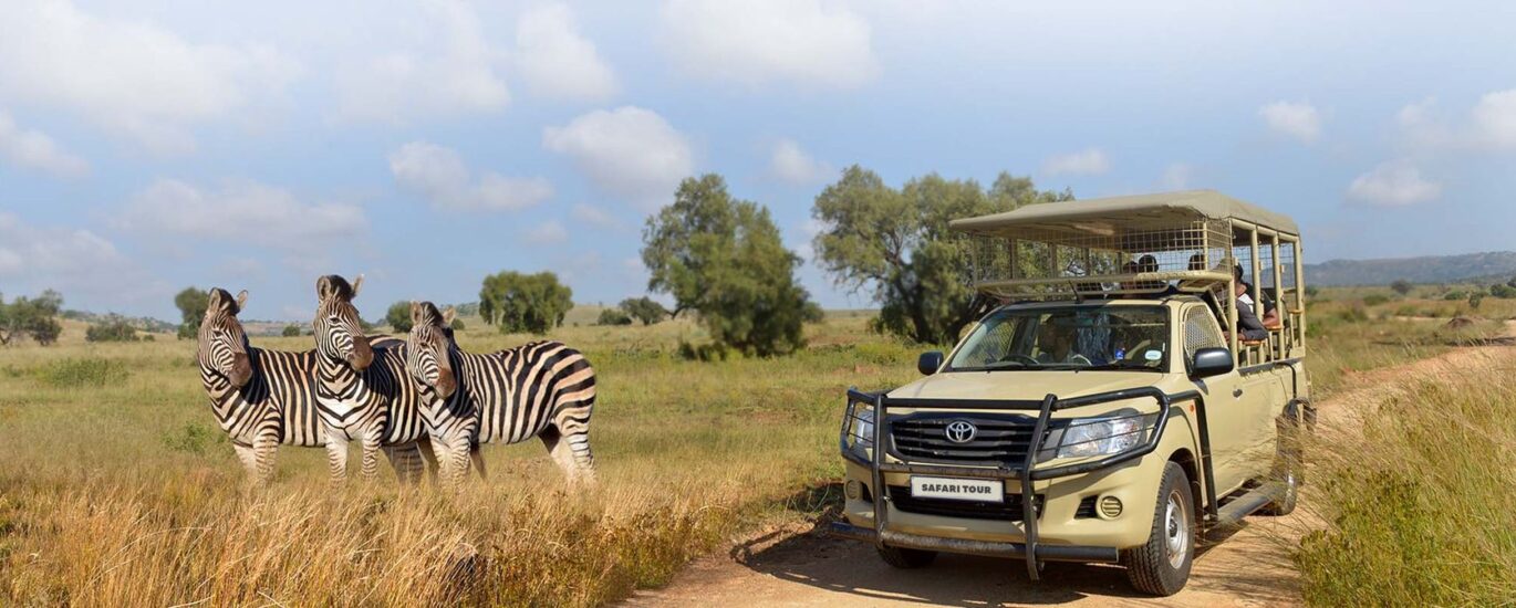 Safari Tourism in Africa Market to Surpass Valuation of US$ 31,422.7 ...