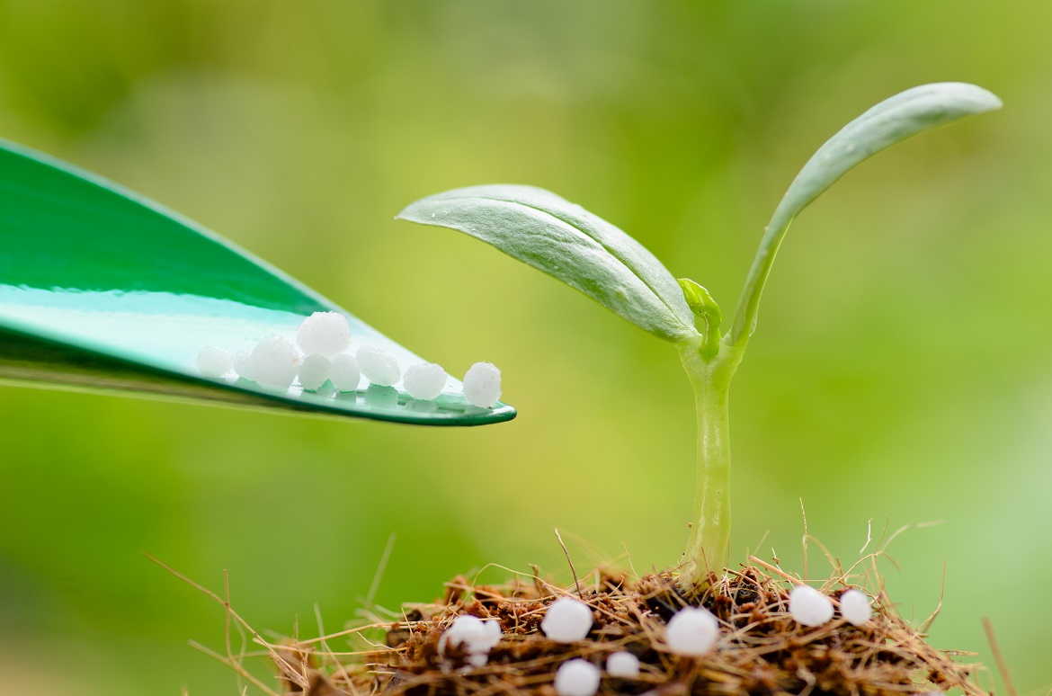 Future of Green Fertilizers: Innovations and Emerging Technologies ...