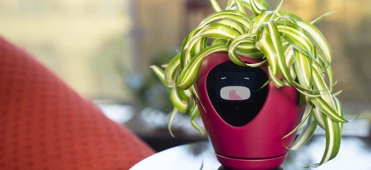 Smart Vase Market is Predicted to Expand to a Valuation of US$ 1,109.45 Million in 2023 | Report ...
