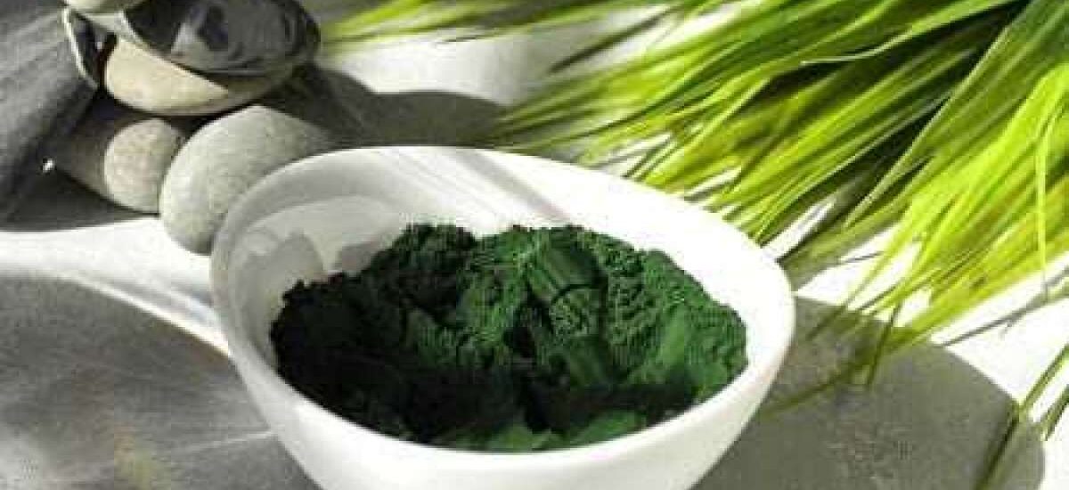 Market Insights: Algal Protein to Witness Impressive Growth by 2033 ...