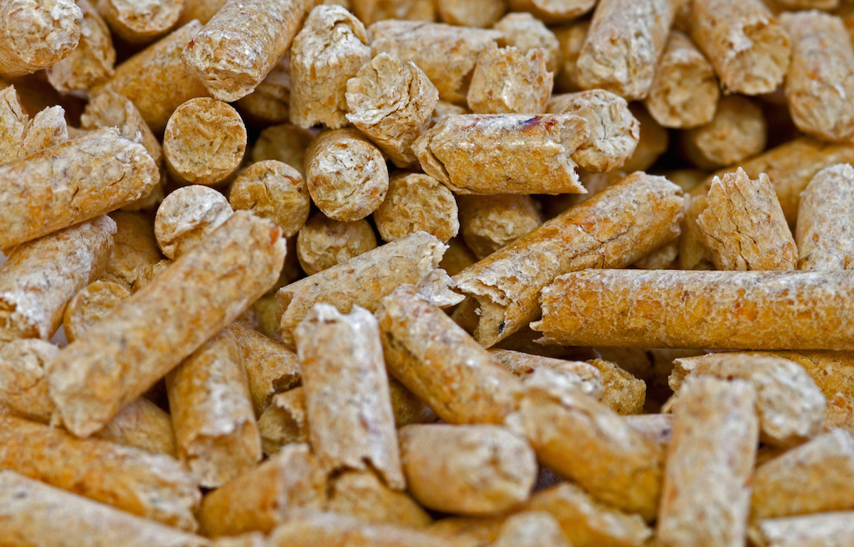 Biomass Pellets Market: Sustainable Energy Solutions for a Greener ...