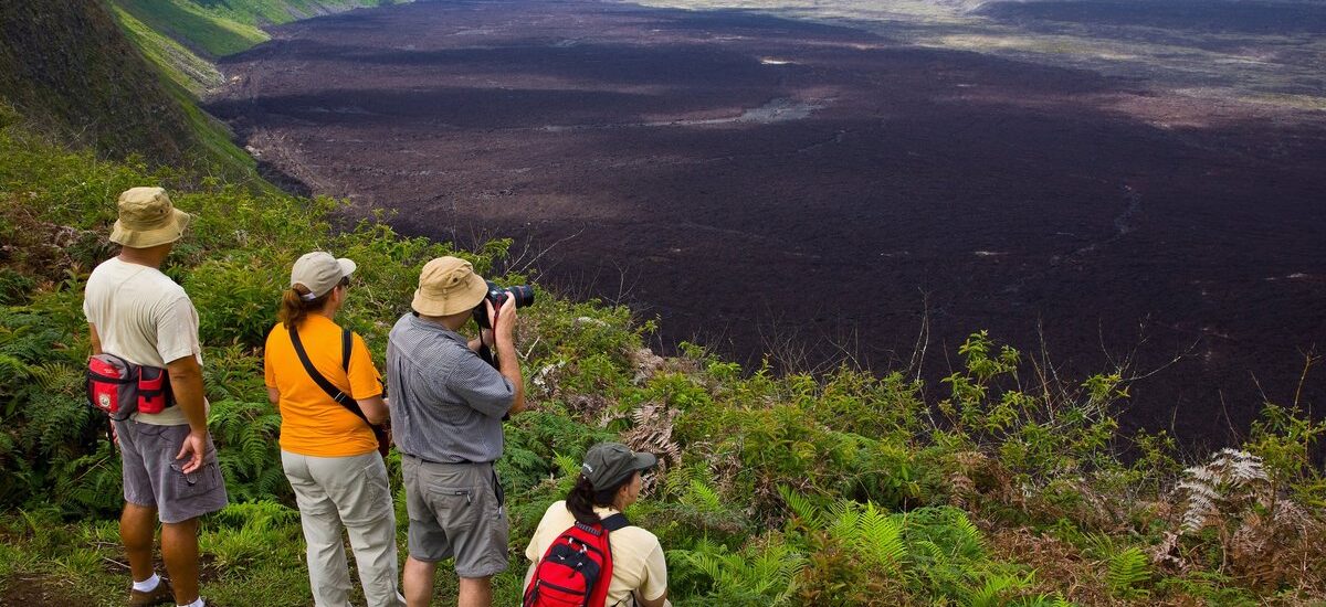 Sustainable Travel Soars: North America’s Persistent Dominance in the ...