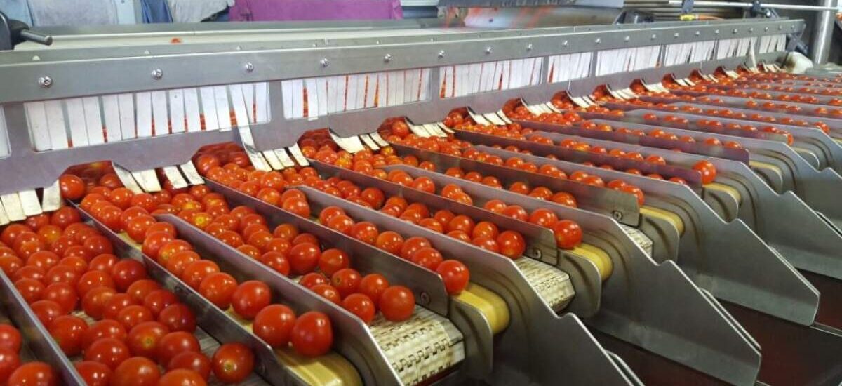 Vegetable Dicing Machines Market Demand is Forecast to Reach US$ 2,384. ...