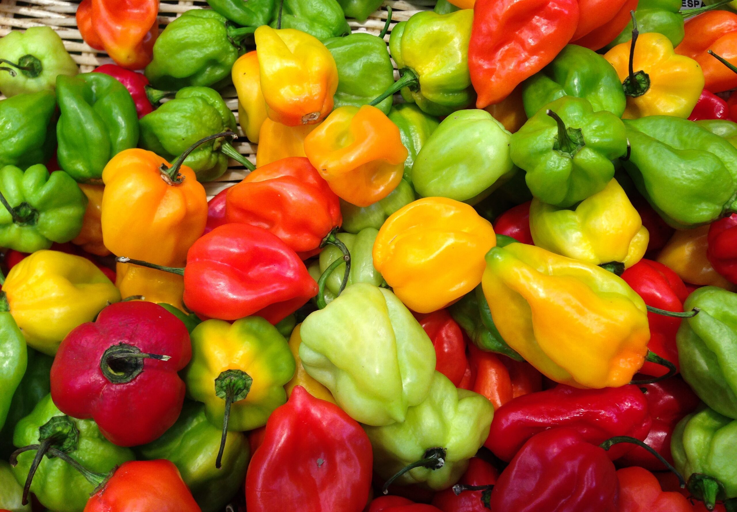 Paprika Color Market Anticipates Strong 11% CAGR Growth, Expected to ...