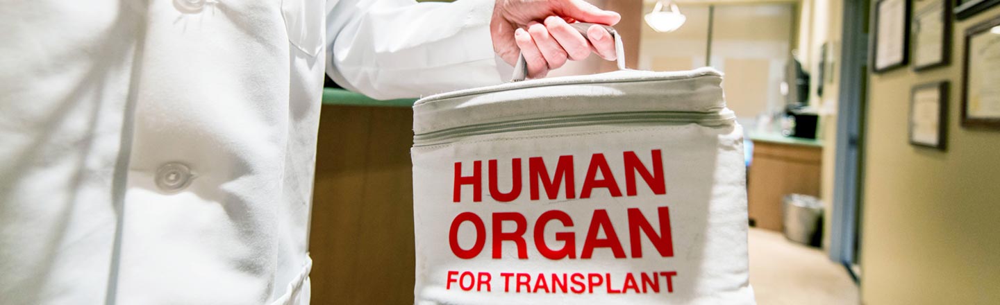 Global Organ Preservation Industry Aims for US$ 455 Million by 2032, at ...