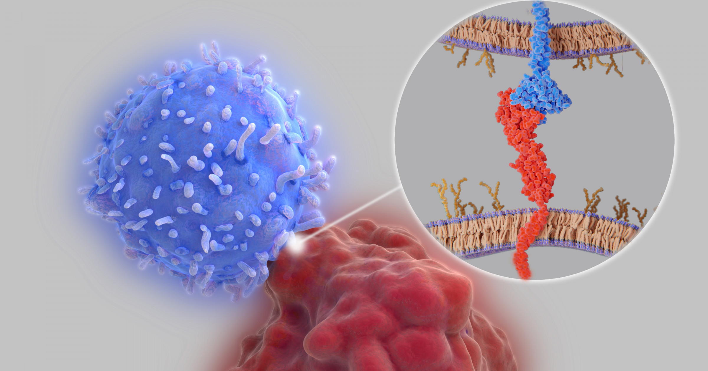 Global PD-1/PD-L1 Inhibitors Industry's Journey to US$123.3 Billion by ...
