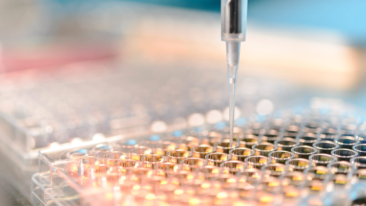 Global PD-L1 Biomarker Testing Market to Reach USD 1.58 Billion by 2033 ...