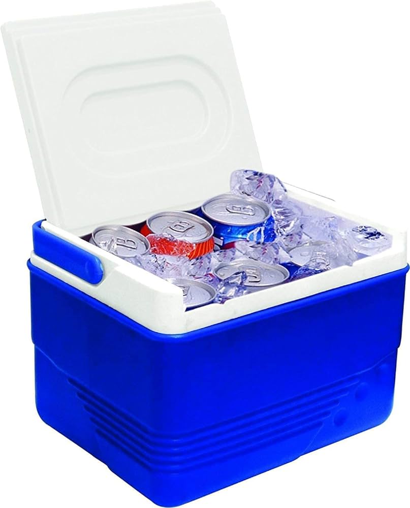 Ice Boxes Market Rising to 6.1% CAGR by 2031: Exclusive Report by FMI - FMIBlog