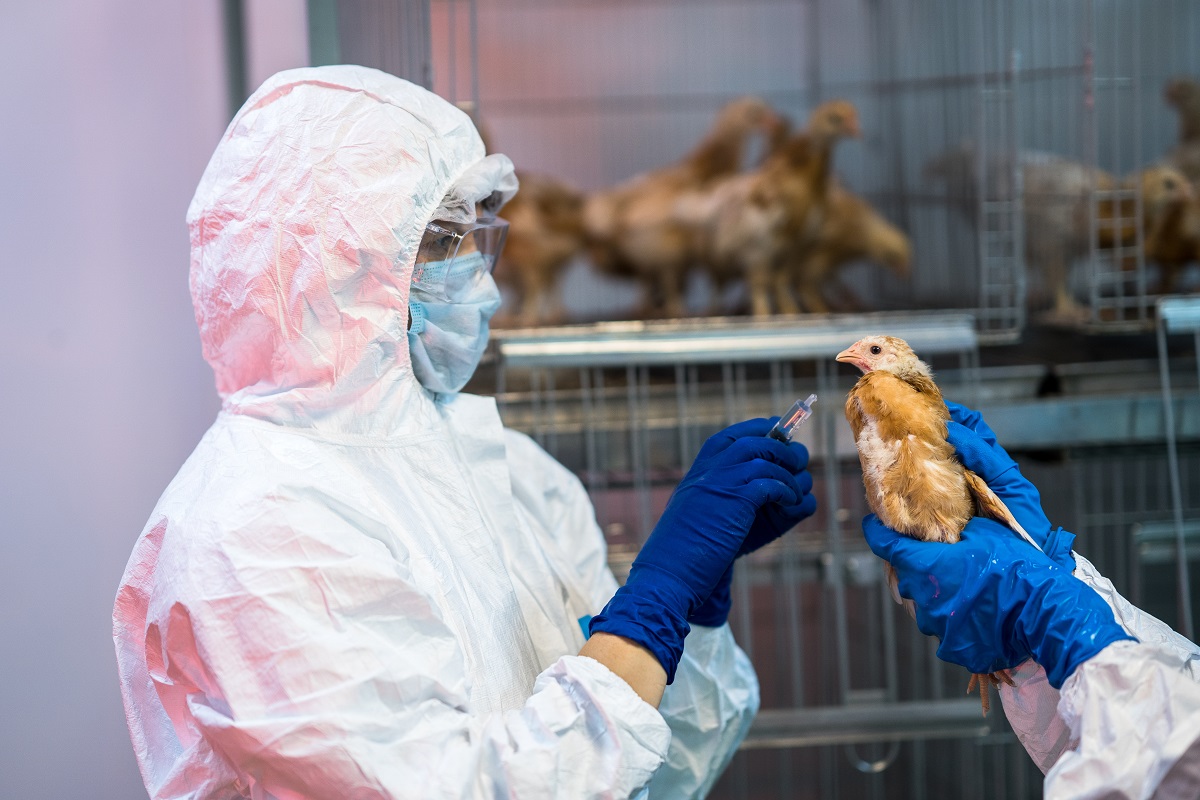 Global Poultry Diagnostic Testing Industry Anticipates Remarkable ...