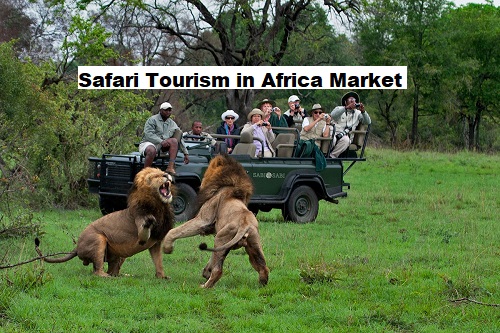 Safari Tourism in Africa Market Emerges as a Hotspot, Predicted to Grow ...