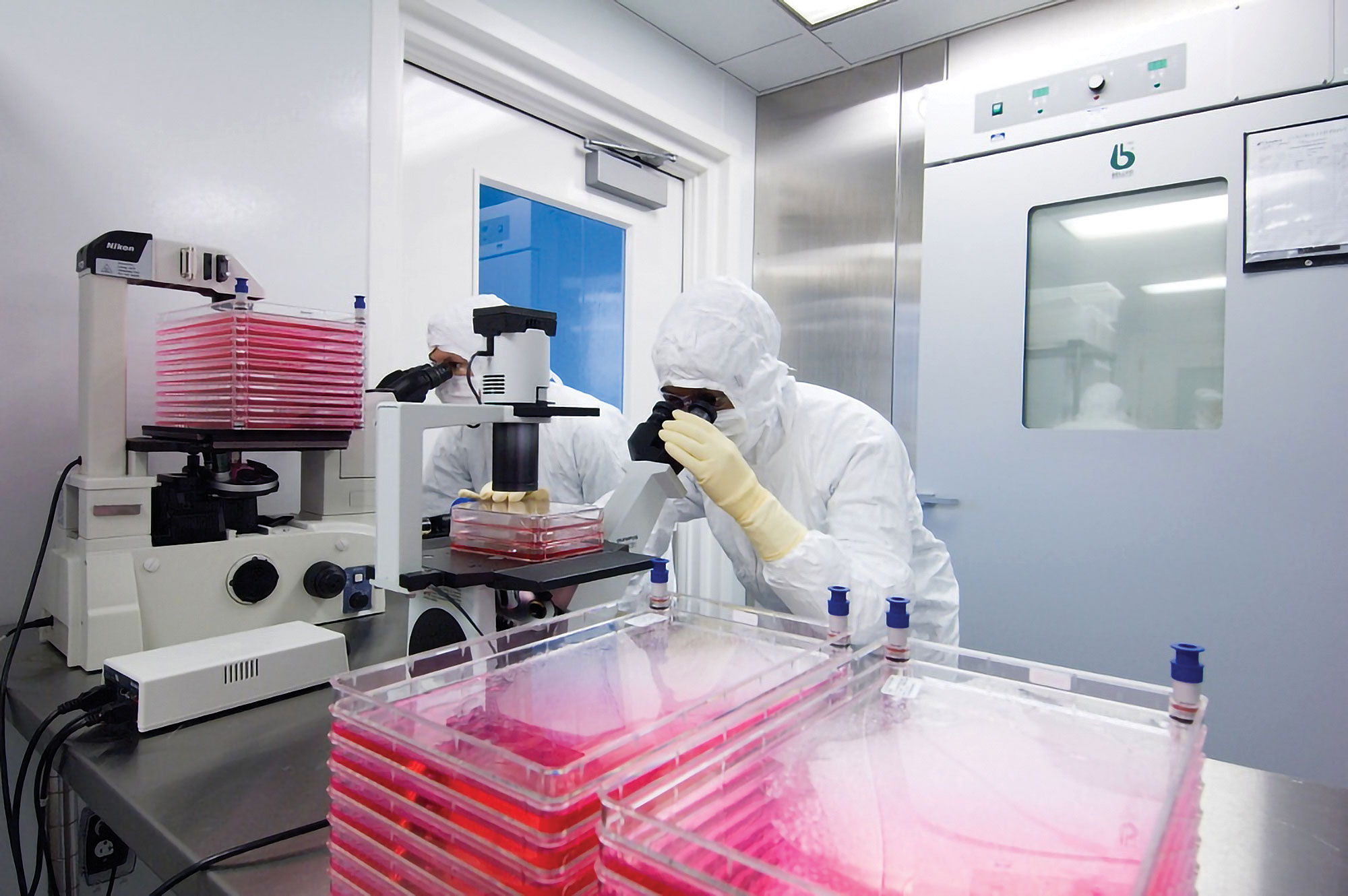 Global Cell Therapy Manufacturing Industry Soars with a 14.2% CAGR ...