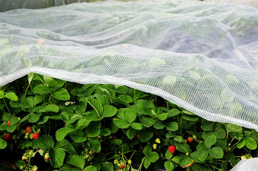 Agro Textiles Market Expected to Achieve US$ 9,478 Million by 2033 ...