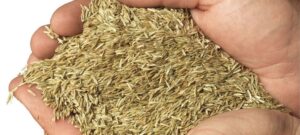 Growing global demand for meat, poultry, and organic options fuels ...