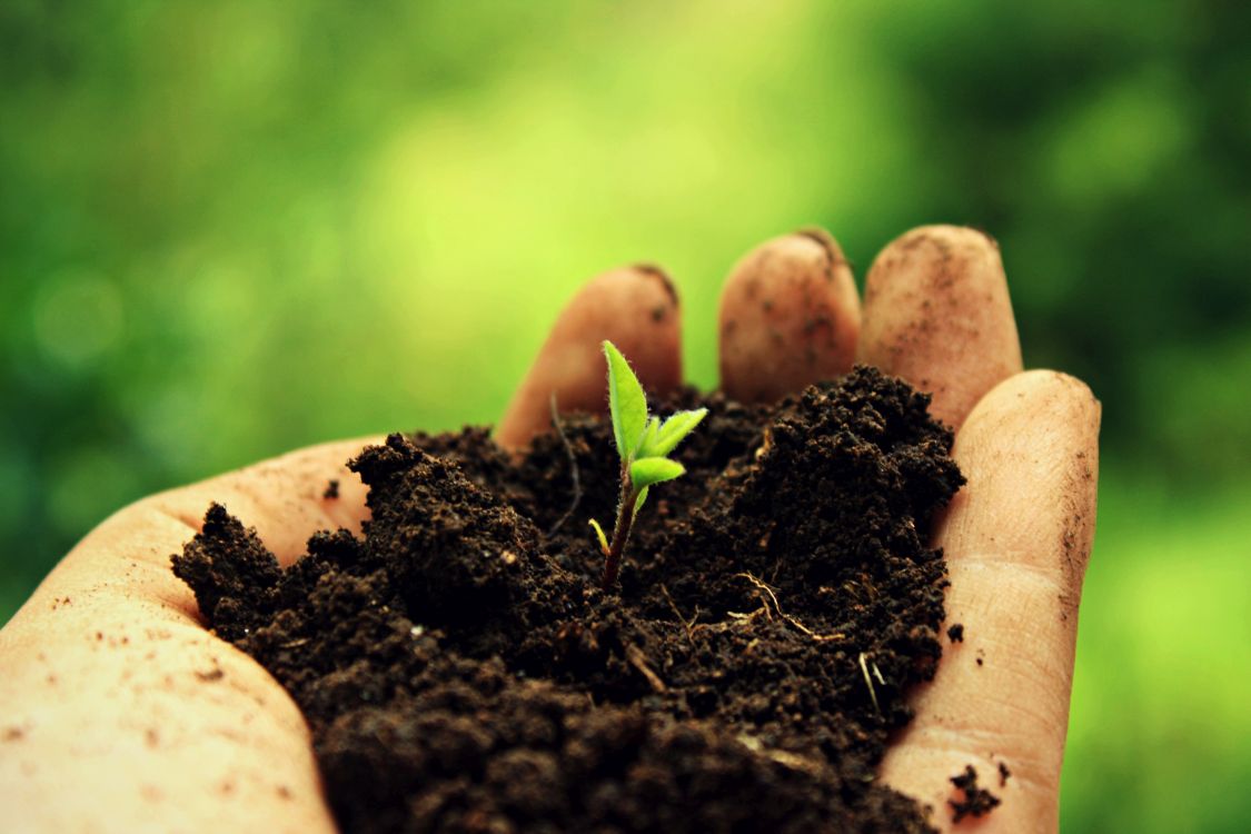 Urbanization Boom Drives Demand for Soil Hardening Agents: A Global ...