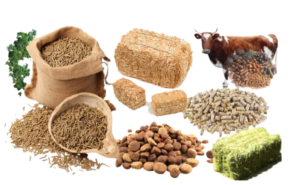 Organic Feed Market Poised for 7.7% CAGR Growth, Reaching US$ 14.3 ...