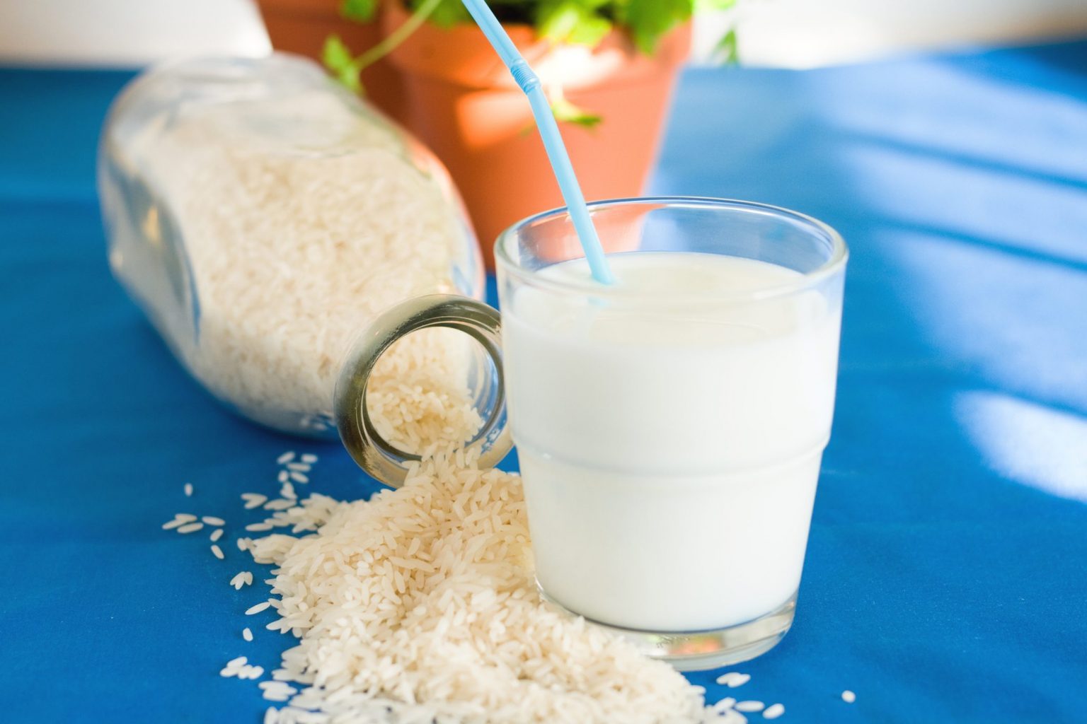 Unlocking Potential: Rice Milk Market Expected to Double, Reaching USD ...