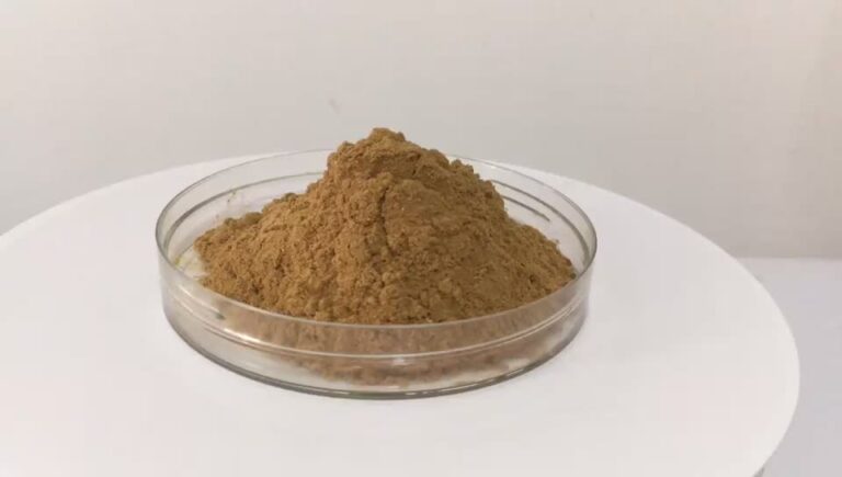 Fish Meal Alternatives: A Sustainable Solution Powering Aquaculture ...