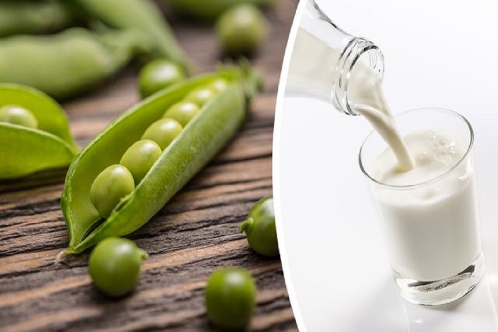 Pea Milk Market Expected to Grow at 10.4% CAGR from 2022 to 2032 - FMIBlog