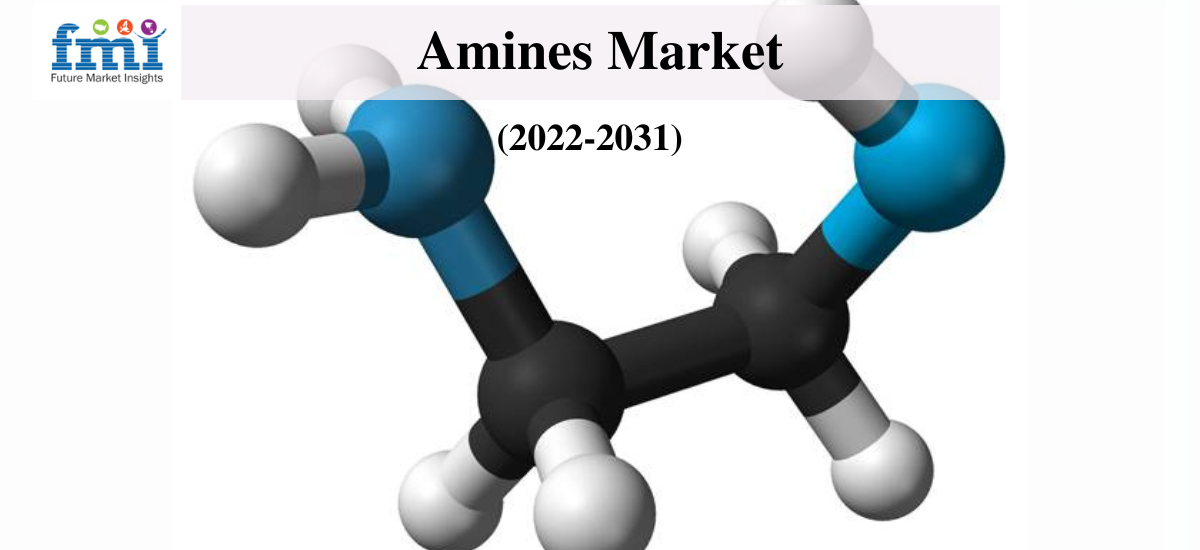 Global Amines Market Set for 2.5x Growth by 2034, Fueled by Rising Demand in Agriculture and ...