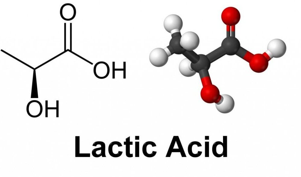 Global Lactic Acid Market Analysis: Key Raw Materials, Applications ...