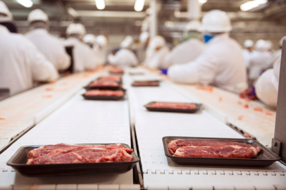 Exploring the Future of Processed Meat Packaging: Trends and Market ...