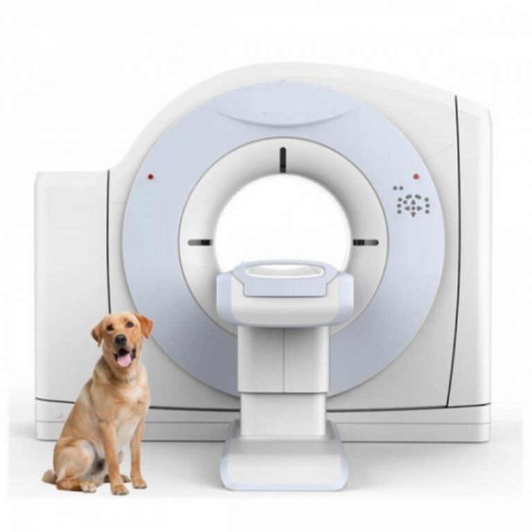 Veterinary Computed Tomography Scanner Market Poised for Growth ...