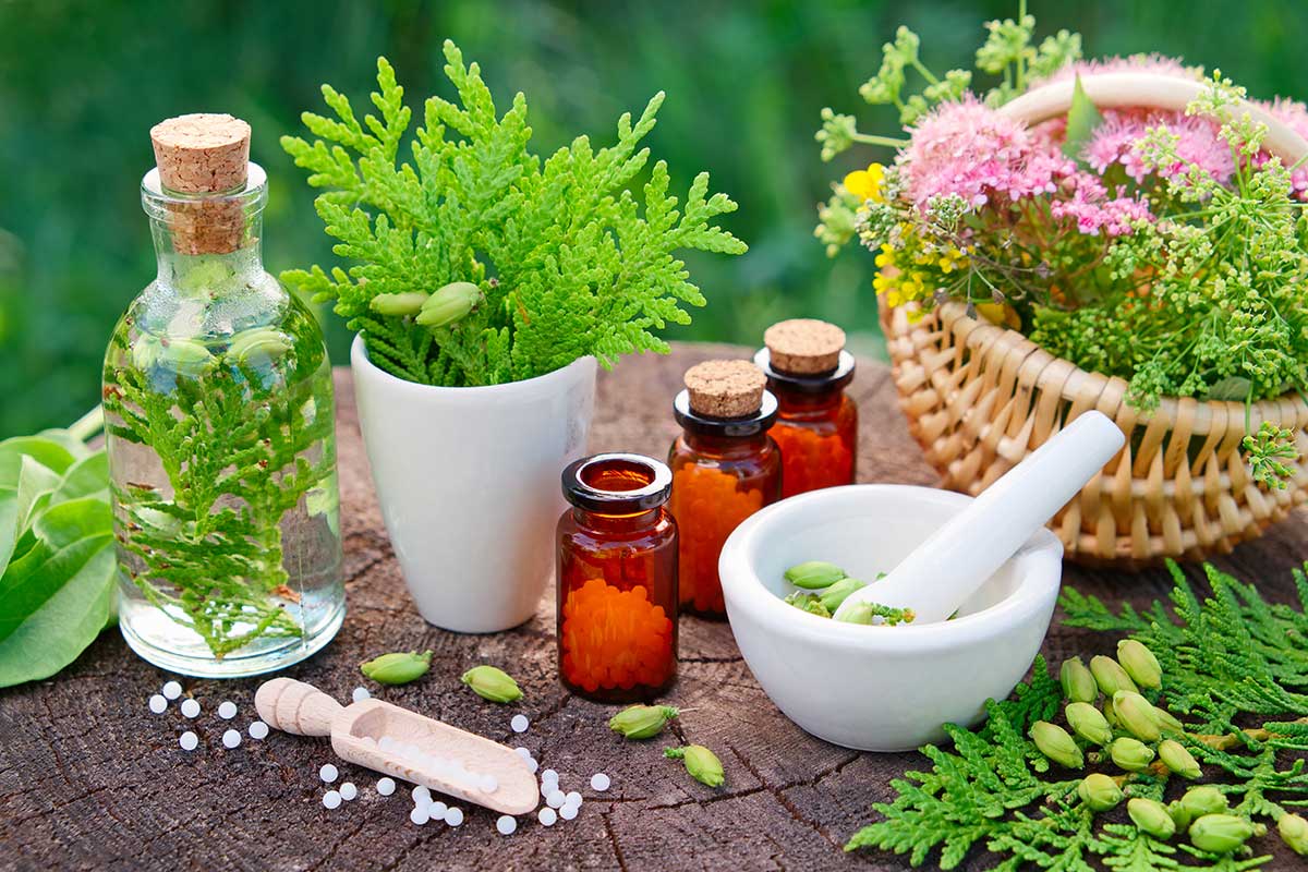 Herbal Medicinal Products Market Poised for Strong Growth, Projected to ...