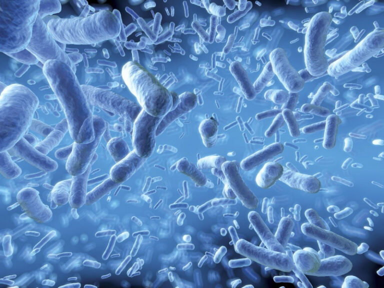 A Comprehensive Analysis: Microbial Protein Market for Feed Set to ...